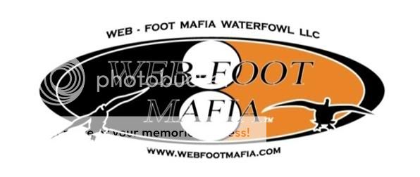 webfoot - meddic